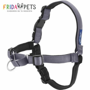 Pecheras para Perros: Tipos y Precios en México