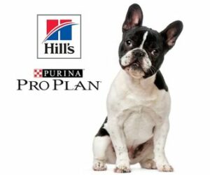 Hills vs Pro Plan: ¿Cuál deberías elegir?